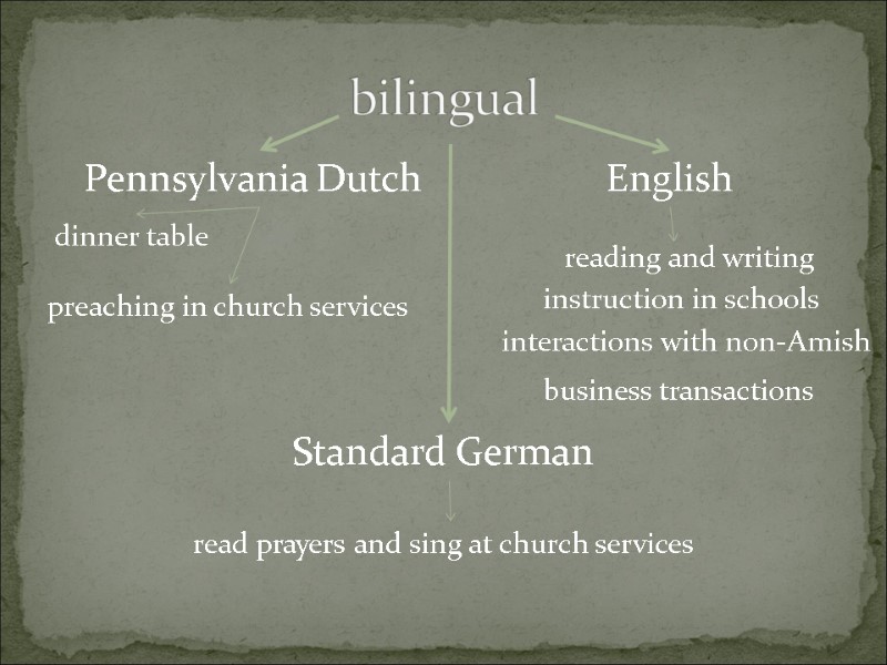 Kate Lebedeva, 1ma What language do the Amish