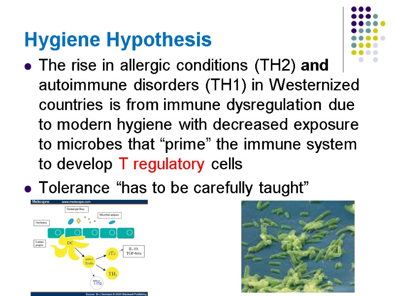 Autism and the Immune System Jane M. El-Dahr,