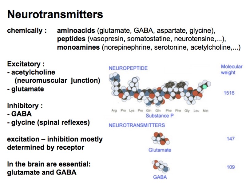 Excitability and excitation. Characteristics of excitable tissues ...