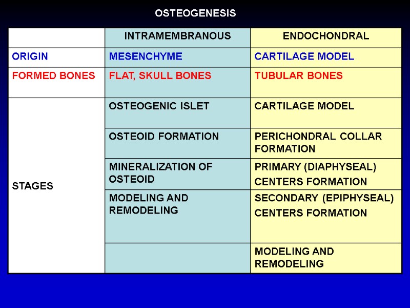 STRUCTURE, DEVELOPMENT AND REGENERATION OF BONE TISSUE CLASSIFICATION