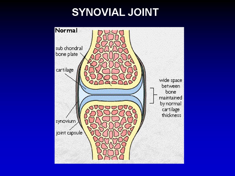 STRUCTURE, DEVELOPMENT AND REGENERATION OF BONE TISSUE CLASSIFICATION