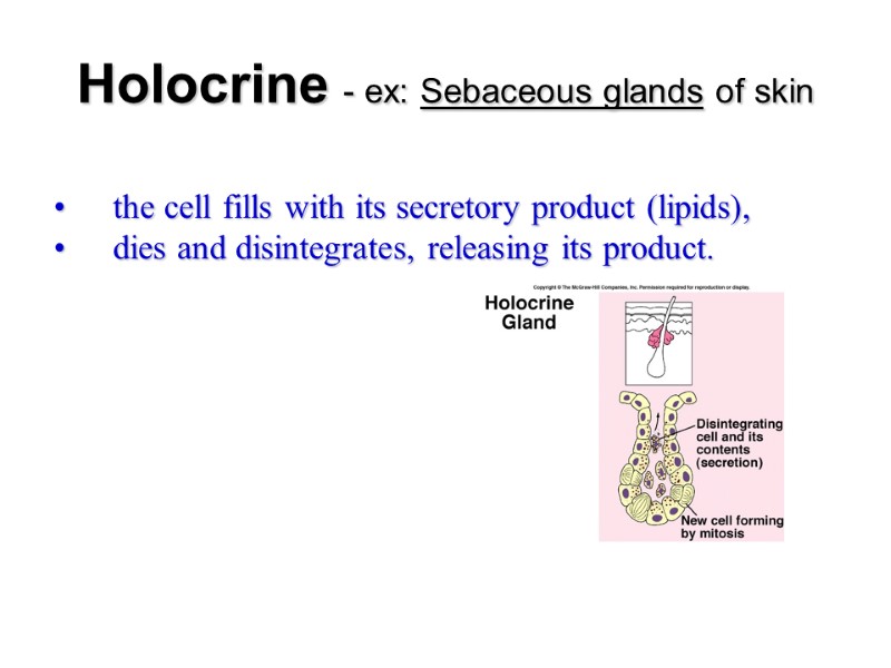 Lecture 3 Tissues. 1. Epithelial tissue. Cytology, embryology,