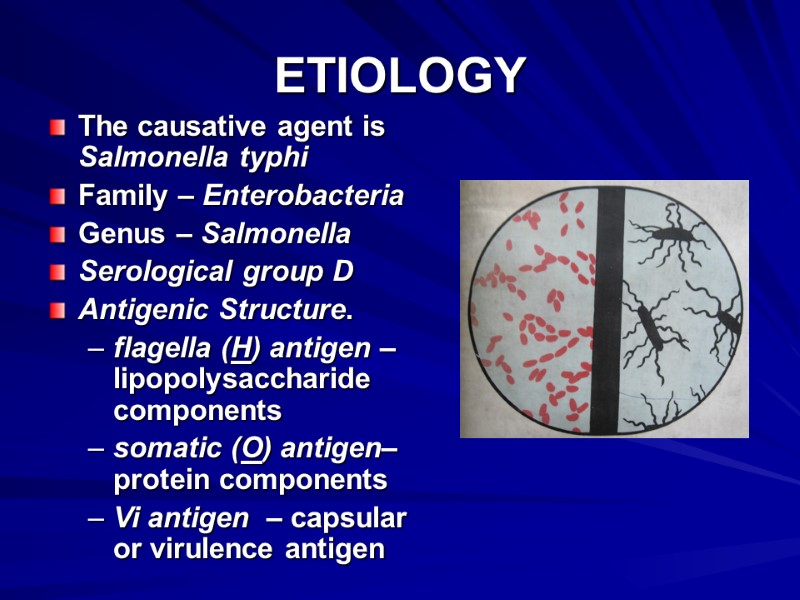 TYPHOID FEVER TYPHOID FEVER Typhoid fever is an