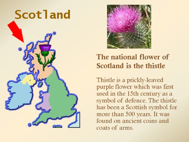 British Symbols The United Kingdom of Great Britain