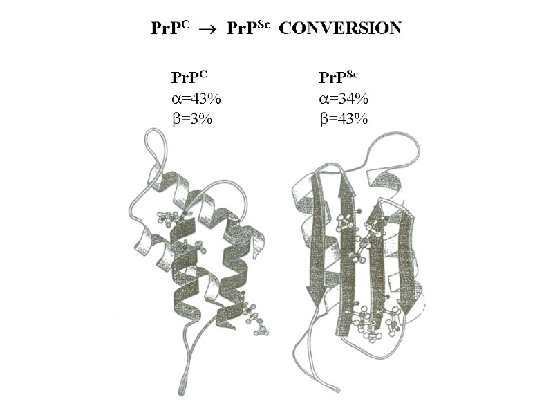 Craig Mello & Andrew Fire Нобелевская премия по