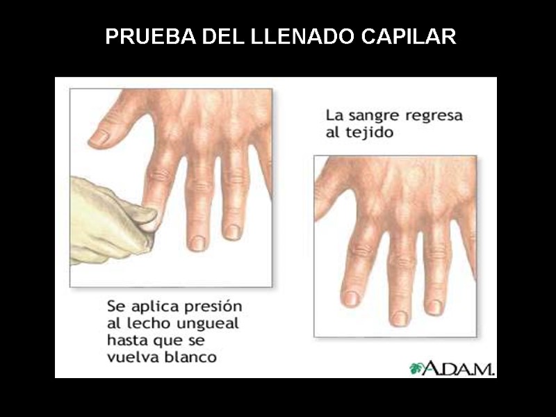 Sistema Vascular Periférico Por: CAROLINA MORA NAVARRO CHRISTIAN