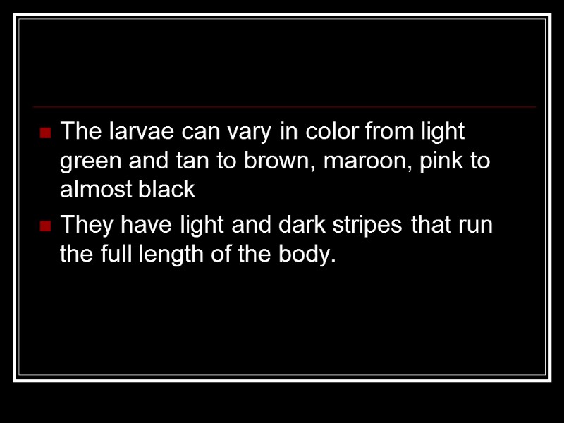 Insects Pests of Vegetable Crops HORT378 Integrated Pest/Disease