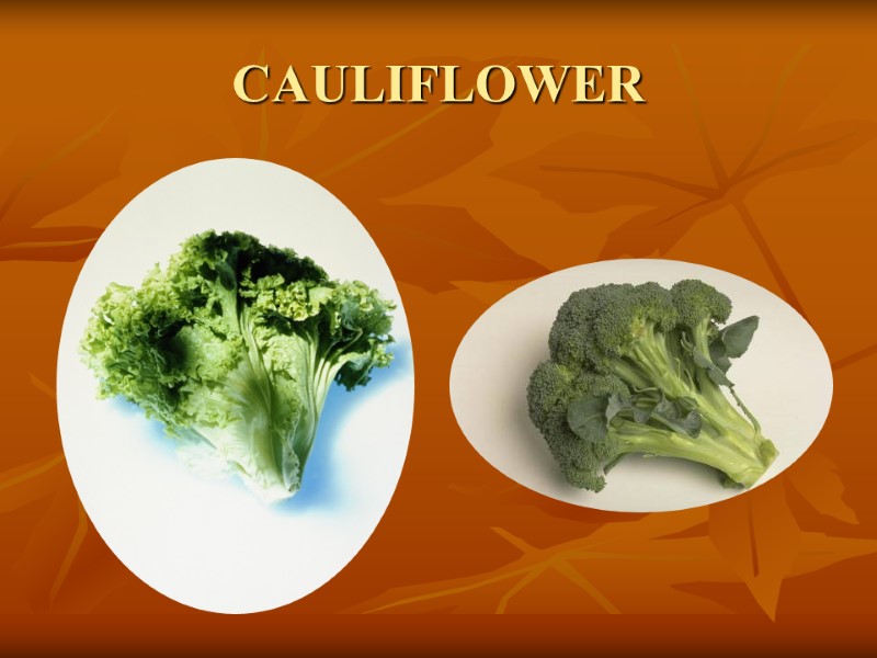 VEGETABLES PEA CABBAGE POTATO MAIZE ONION CARROT CUCUMBER