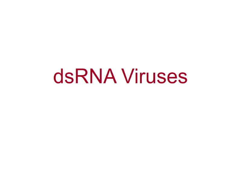 dsRNA Viruses Упрощенная классификация вирусов ssDNA dsDNA dsRNA