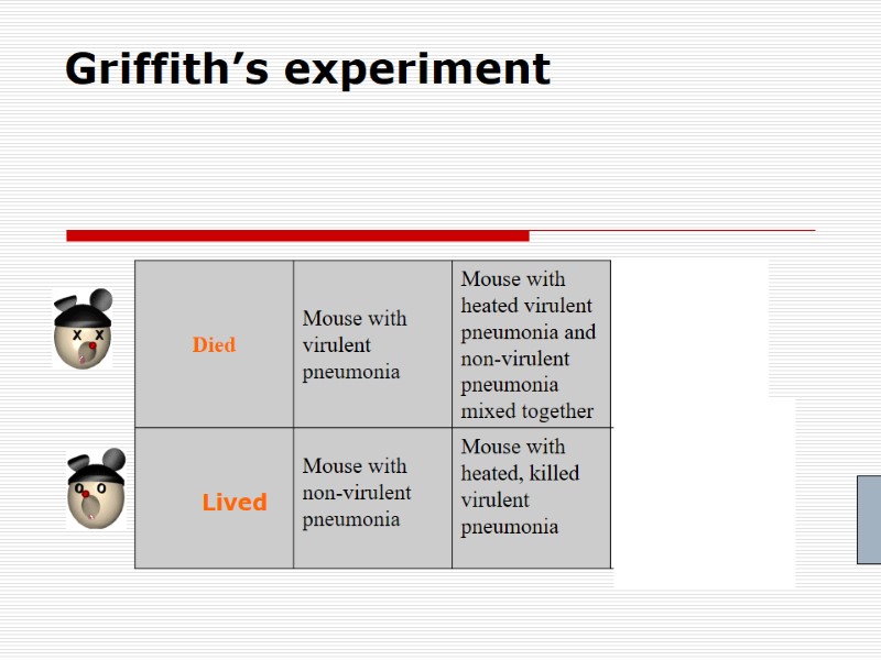 Nucleic Acids Frederick Griffith British physician, pathologist ...