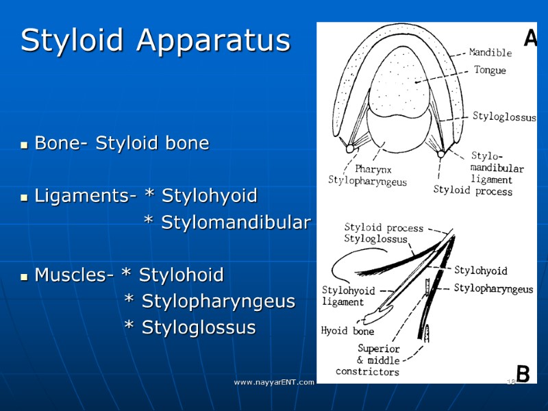 Surgical Anatomy of Skull Base Dr. Supreet Singh