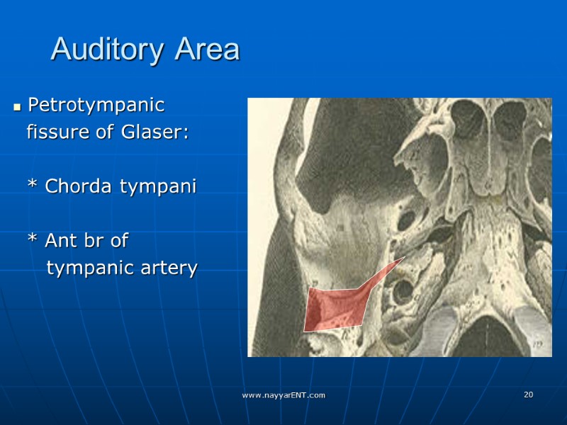 Surgical Anatomy of Skull Base Dr. Supreet Singh