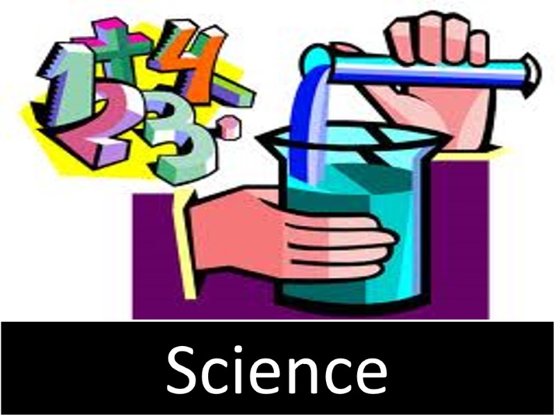 School Subjects Art Biology Studies Computer Drama English