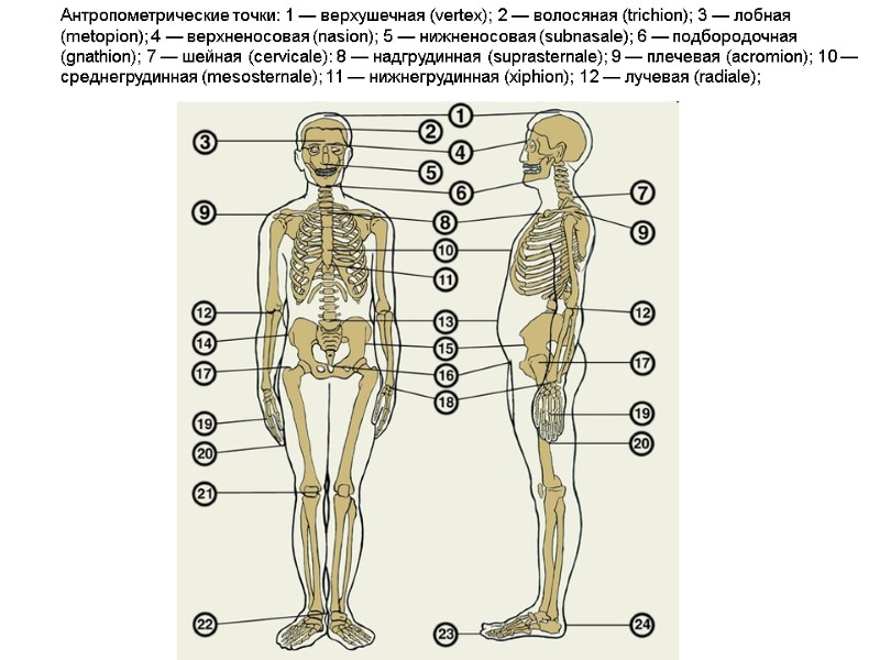 Судебно-медицинская характеристика и экспертиза повреждений при ...