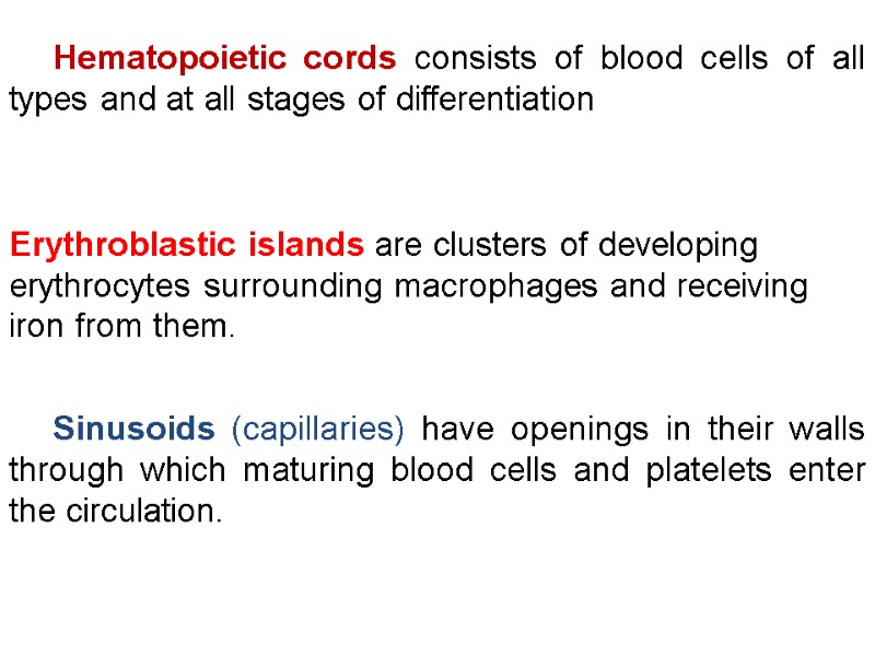 IMMUNE SYSTEM The major organs of the immune