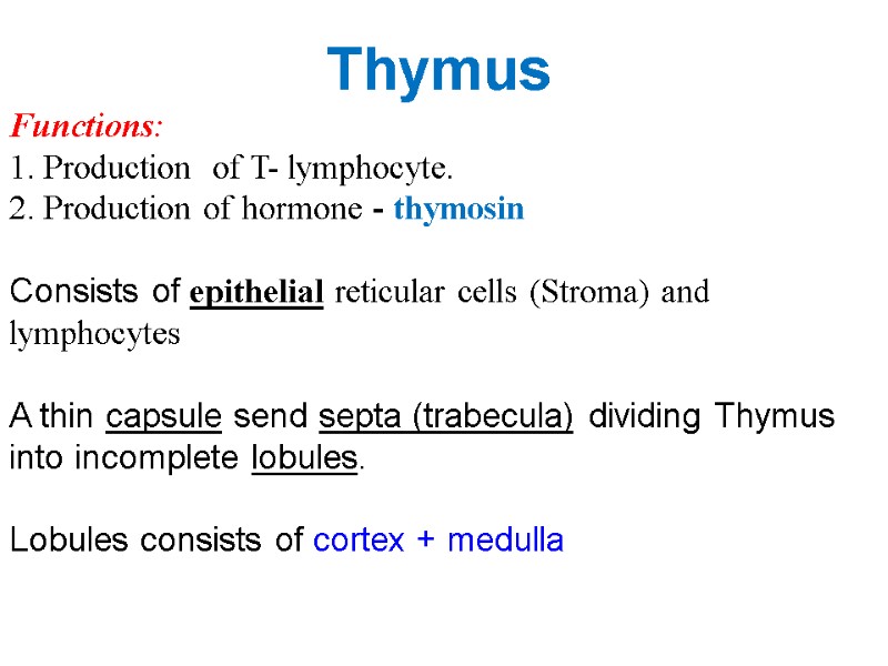 IMMUNE SYSTEM The major organs of the immune
