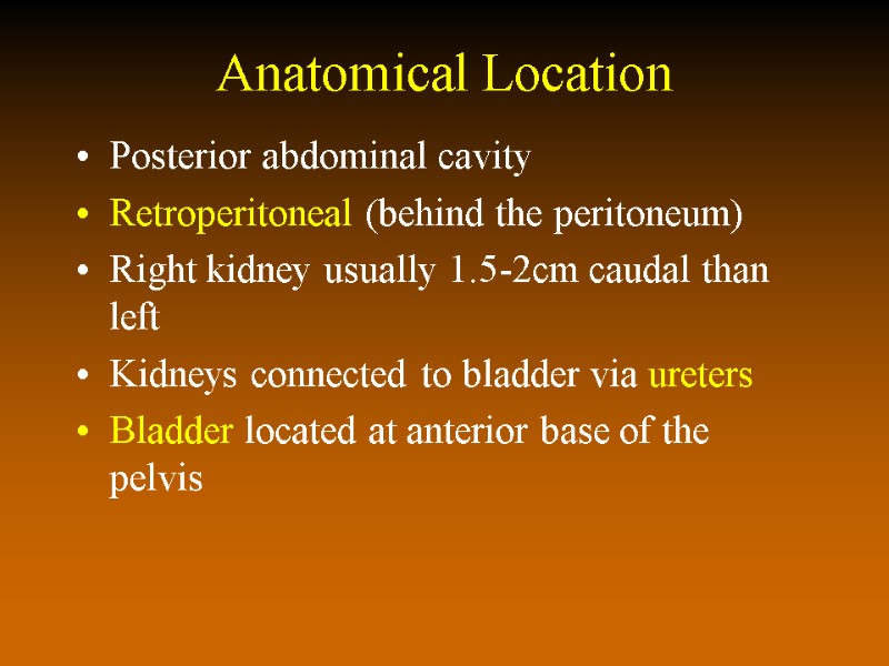 The Urinary System Functions of the Urinary System