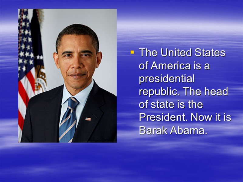 The political system of the USA. The United