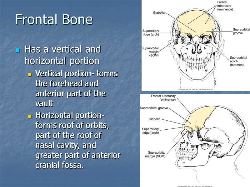 Cranium RTEC 233 Fall 2008 Week 1