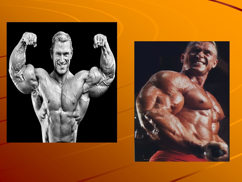 Lee Priest Biography Lee Priest grew up in