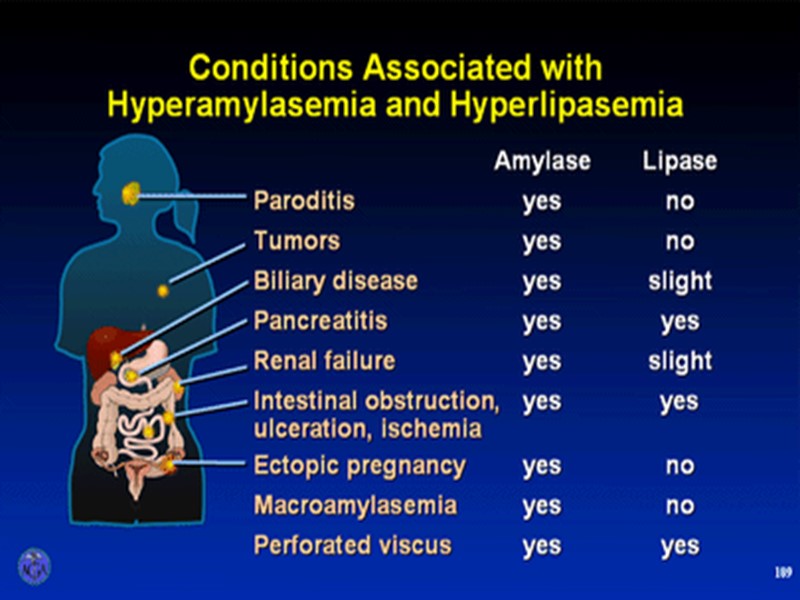 Acute Pancreatitis Dr. Eddie Koifman Gastroenterology Dpt. RAMBAM