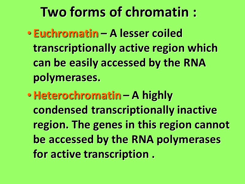Gene Expression Regulation Fundamentals of Biochemistry of Hormones