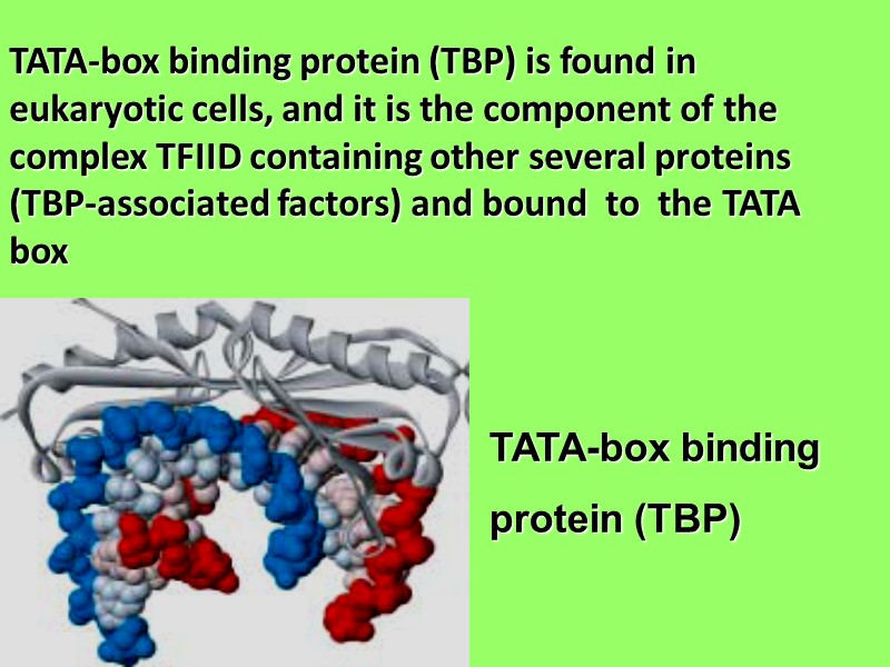 Gene Expression Regulation Fundamentals of Biochemistry of Hormones