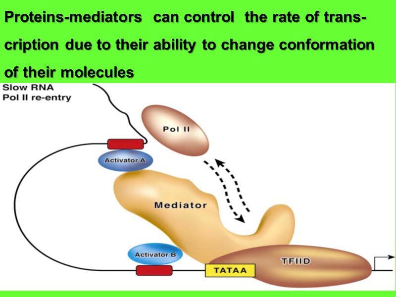 Gene Expression Regulation Fundamentals of Biochemistry of Hormones