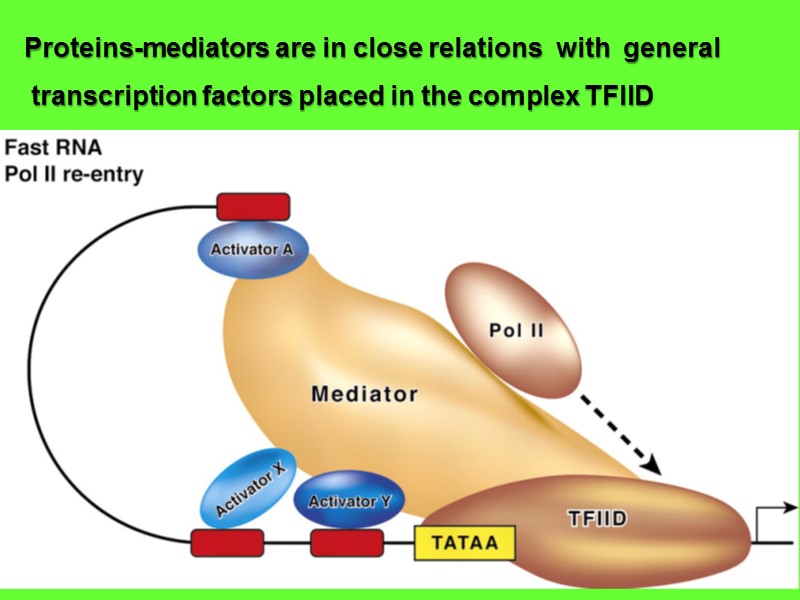 Gene Expression Regulation Fundamentals of Biochemistry of Hormones