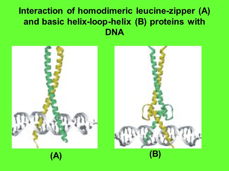 Gene Expression Regulation Fundamentals of Biochemistry of Hormones