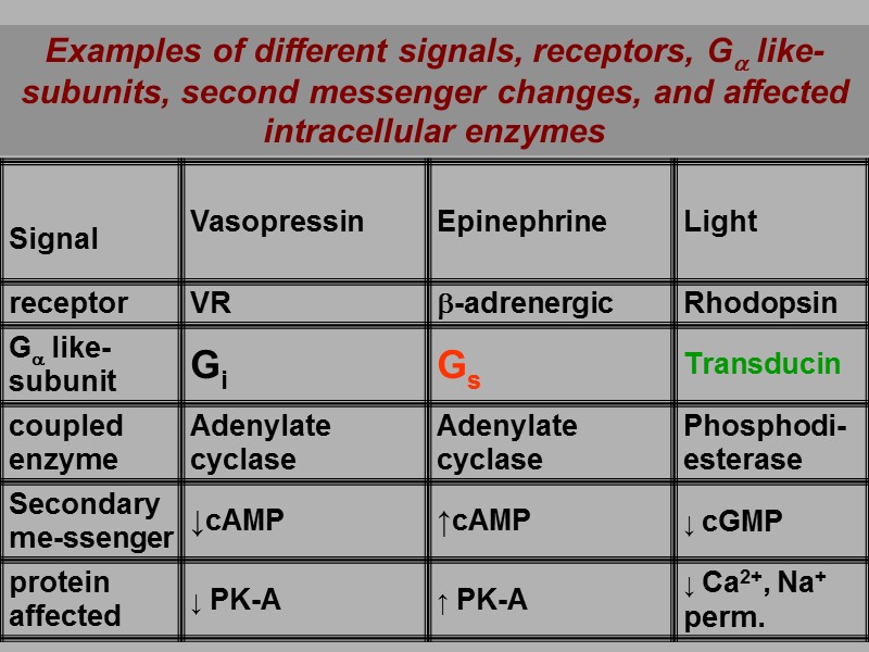 Gene Expression Regulation Fundamentals of Biochemistry of Hormones