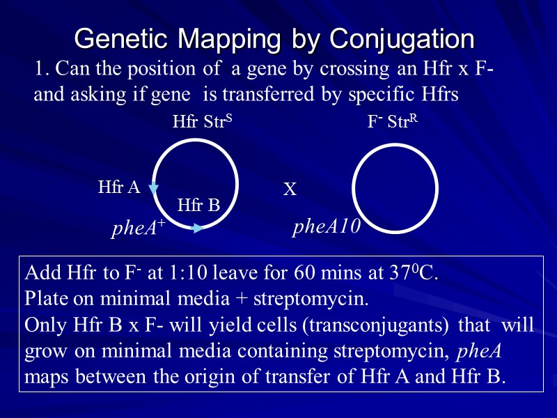 Gene Exchange/Gene Mapping Techniques in Bacteria Transformation