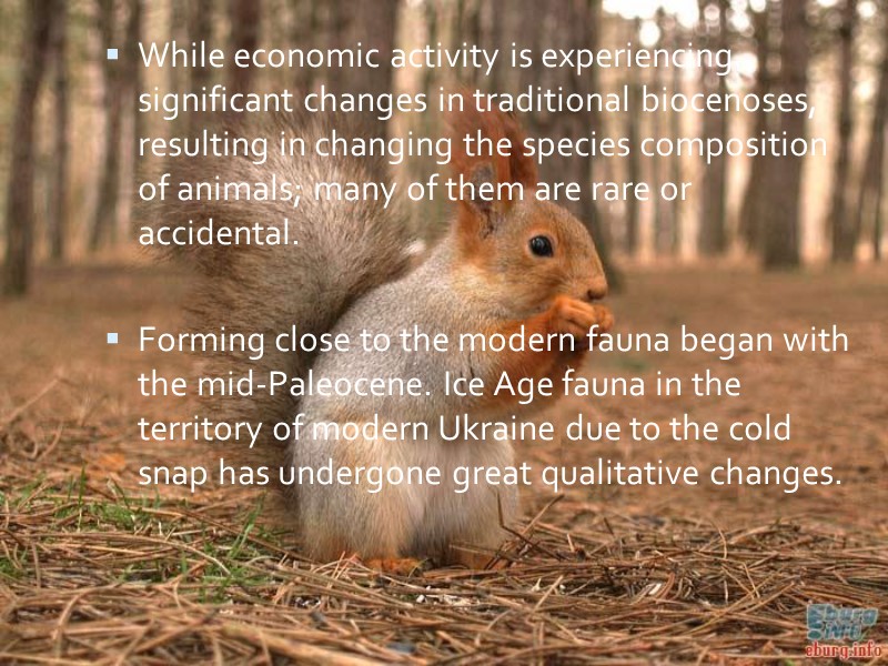 Flora and Fauna of Ukraine Flora Ukraine The