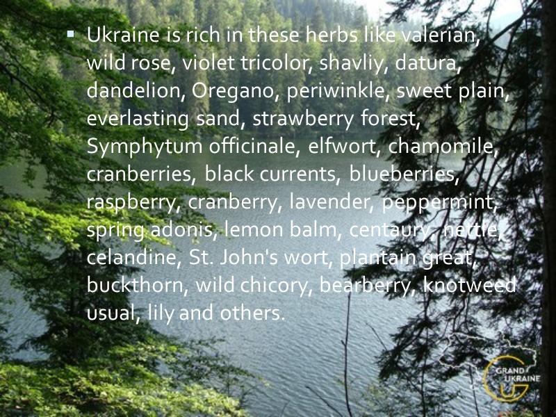 Flora and Fauna of Ukraine Flora Ukraine The