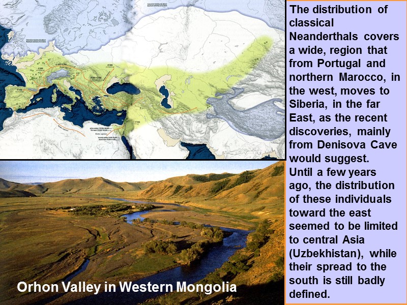 Neanderthals and Middle Palaeolithic Archaeology According to the