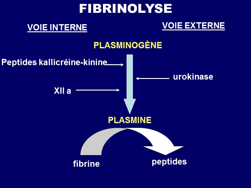 BIOCHIMIE DU FOIE ET DU SANG FOIE ET