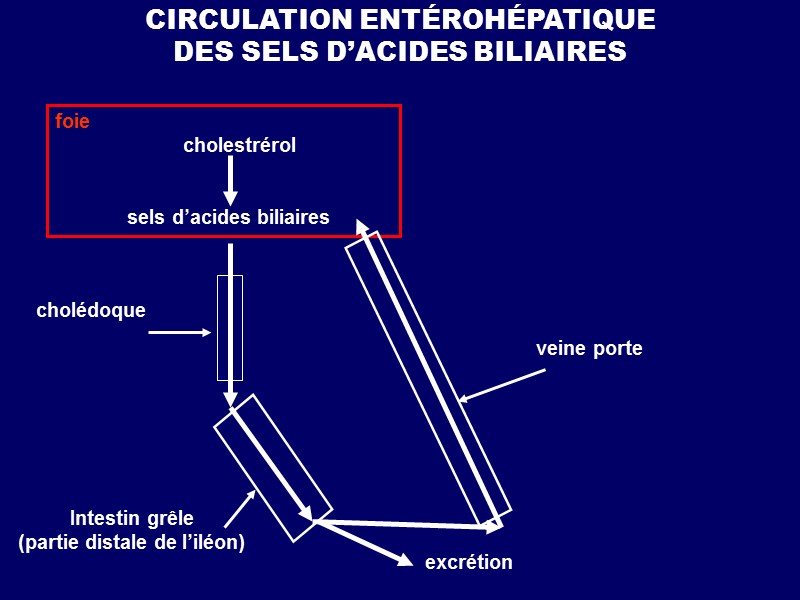 BIOCHIMIE DU FOIE ET DU SANG FOIE ET
