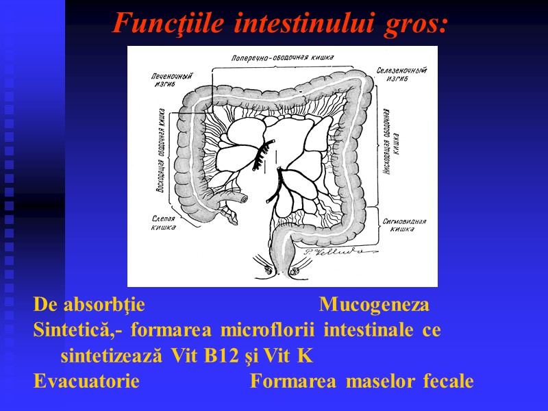 PATOLOGIA CHIRURGICALĂ A INTESTINULUI SUBŢIRE ŞI GROS MOTIVAŢIA