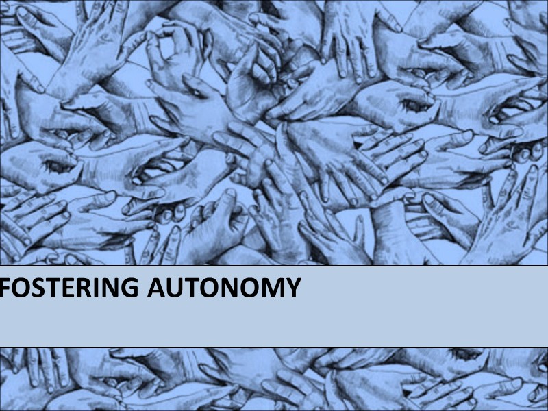 Approaches to Learner Autonomy in Language Learning Erin