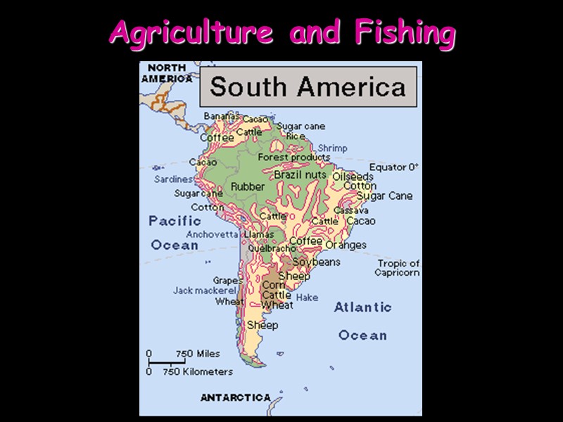 Latin America. General characteristic Plan: Topography Climate Resources