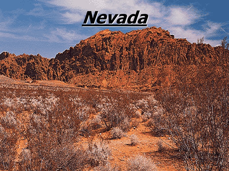 Nevada Flag and seal of Nevada Nevada is