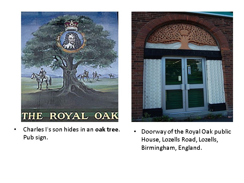 Oak tree as British symbol The history The