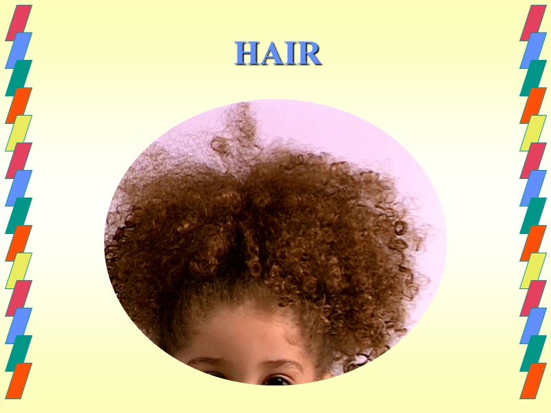PARTS OF THE BODY part 1 HEAD HAIR