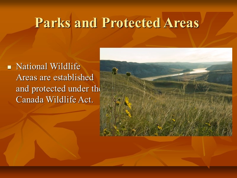 Canada: nature and wildlife Parks and Protected Areas