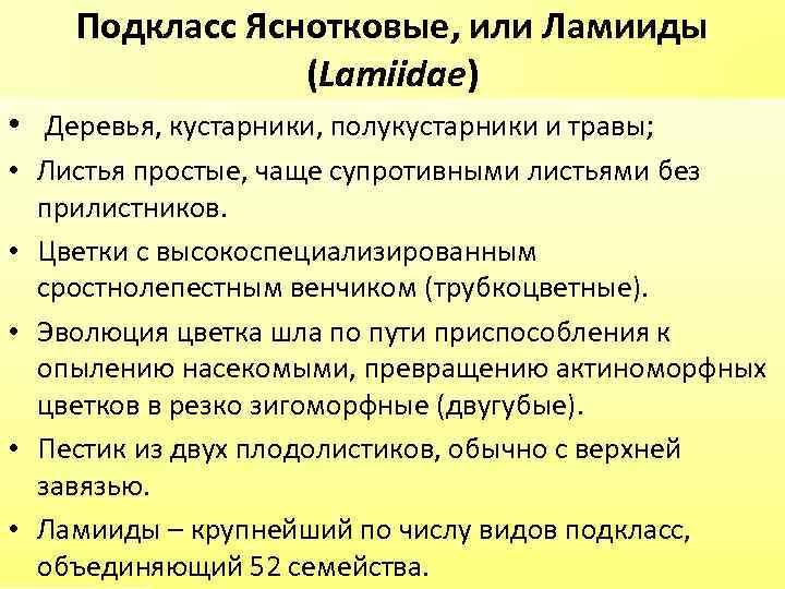 Белладонна Аtropa belladonna ru wikipedia org wiki Беладонна