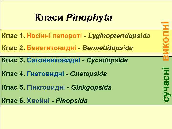 Метод побудови морфогенетичних рядів Вегетативні органи