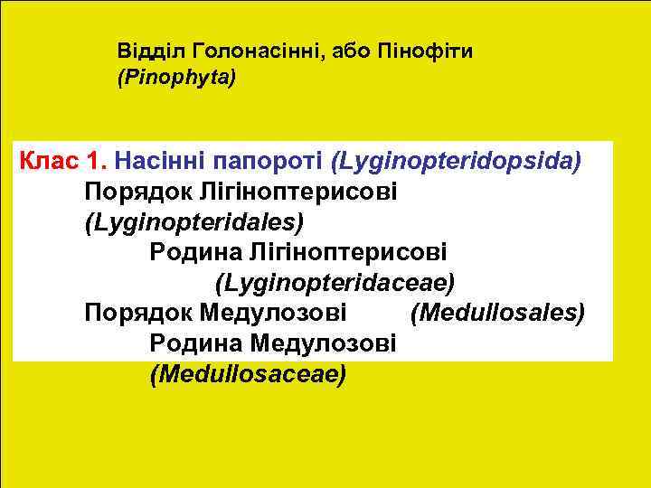 Метод побудови морфогенетичних рядів Вегетативні органи