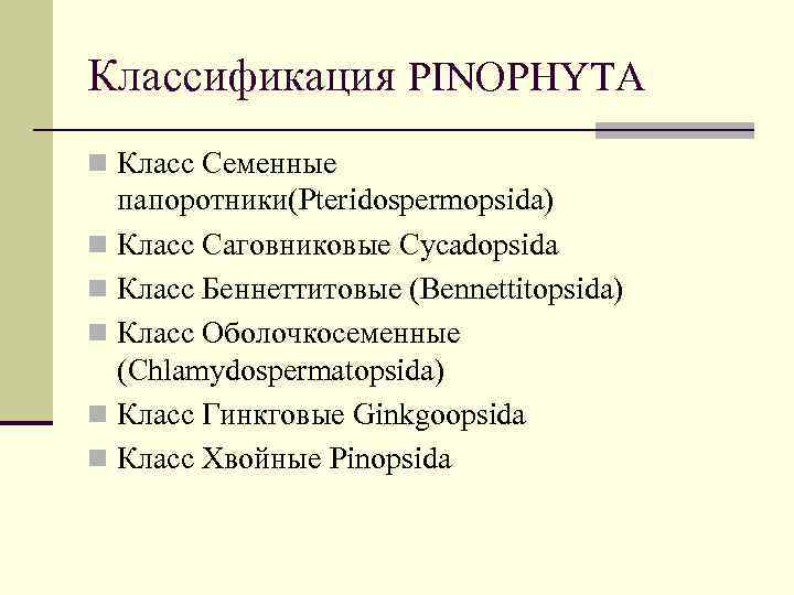 Голосеменные Многообразие голосеменных Общая характеристика PINOPHYTA n