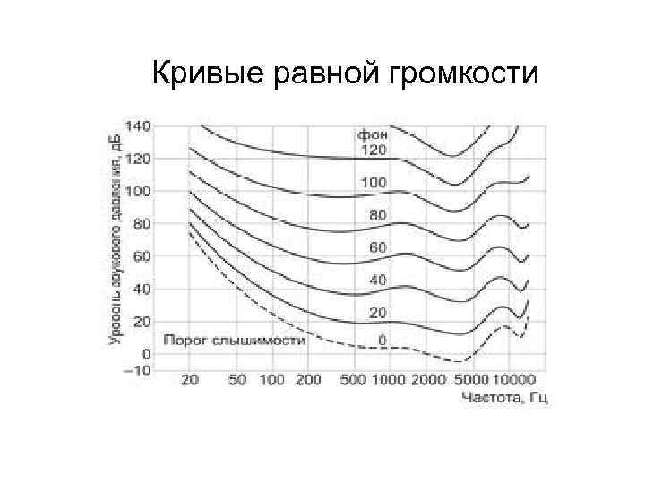 Акустика Белолуцкая М А Виды звуков