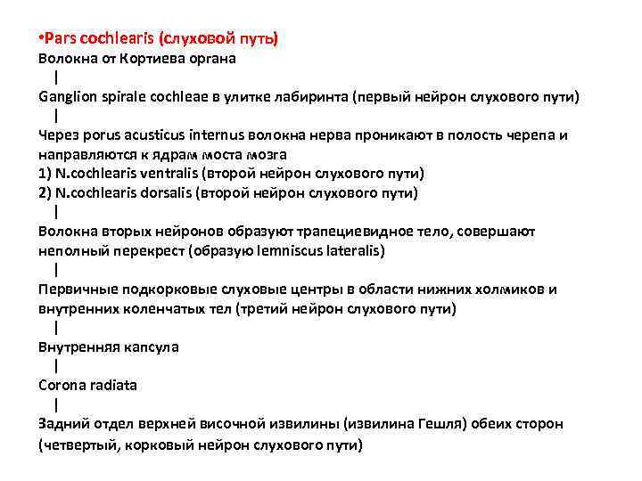 Черепные нервы Обонял и зрил